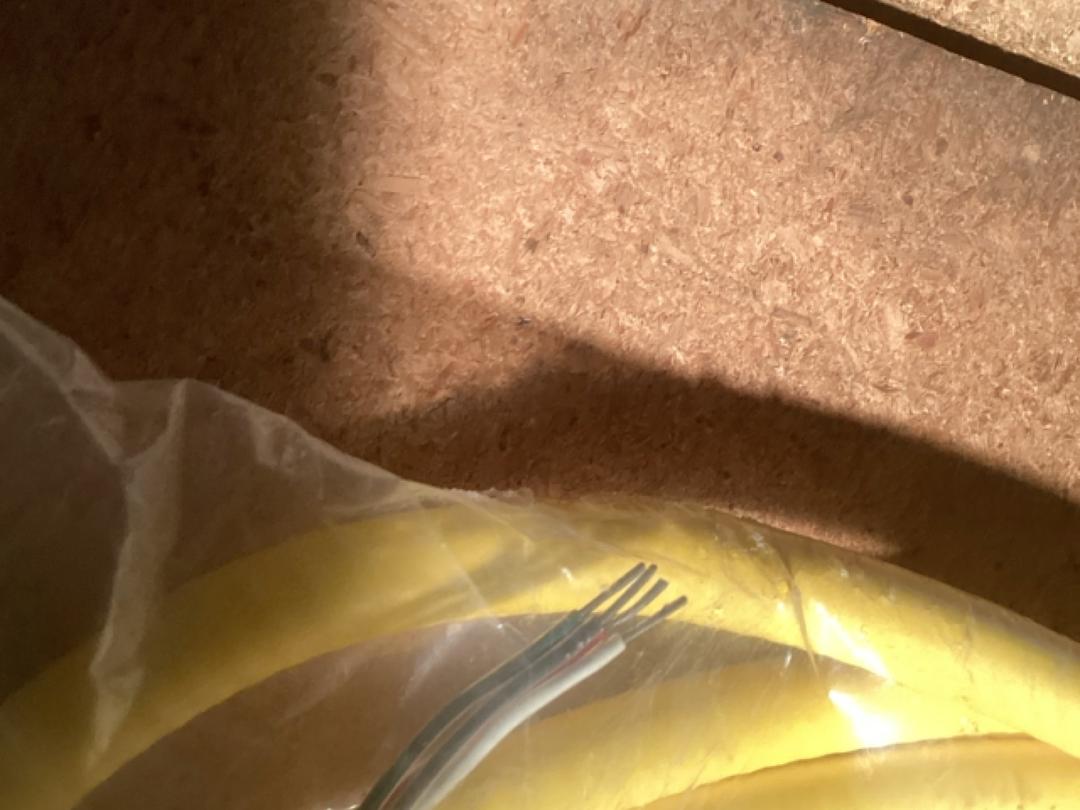 CABLE, TURCK 4-PIN, FEMALE, MOLDED, WITH CONNECTOR - Open Top Drive